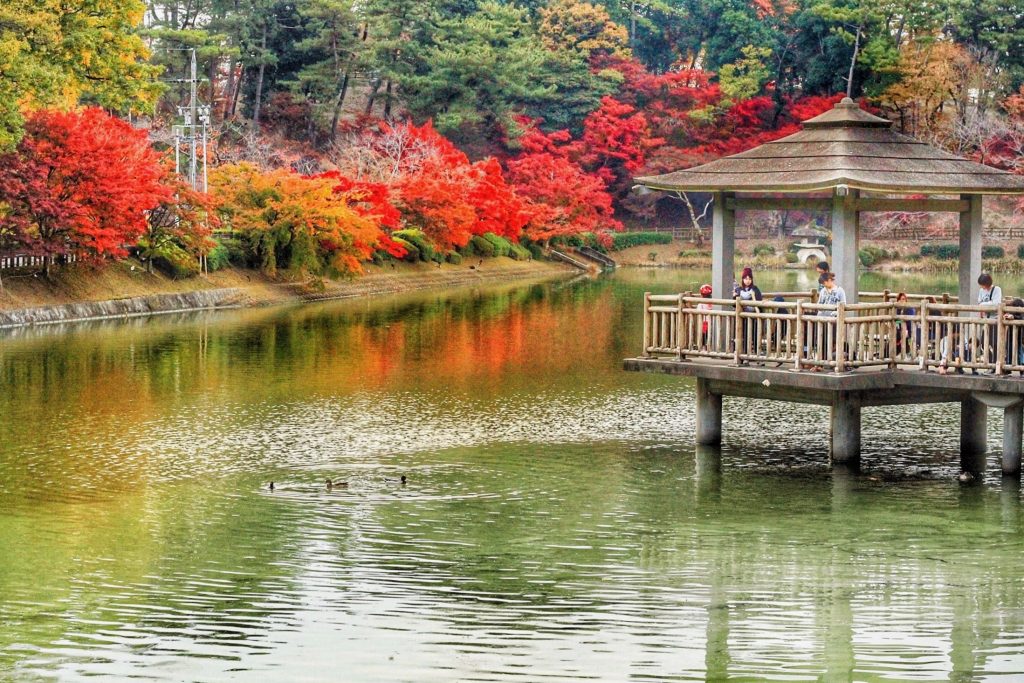 okazaki-park * AMMORA PHOTOGRAPHY